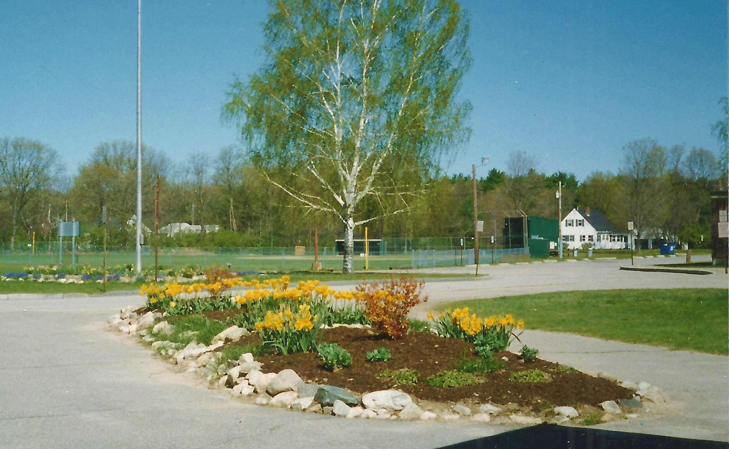 Norfolk Civic Gardens ~ 1990’s – The Garden Club of Norfolk, Inc.