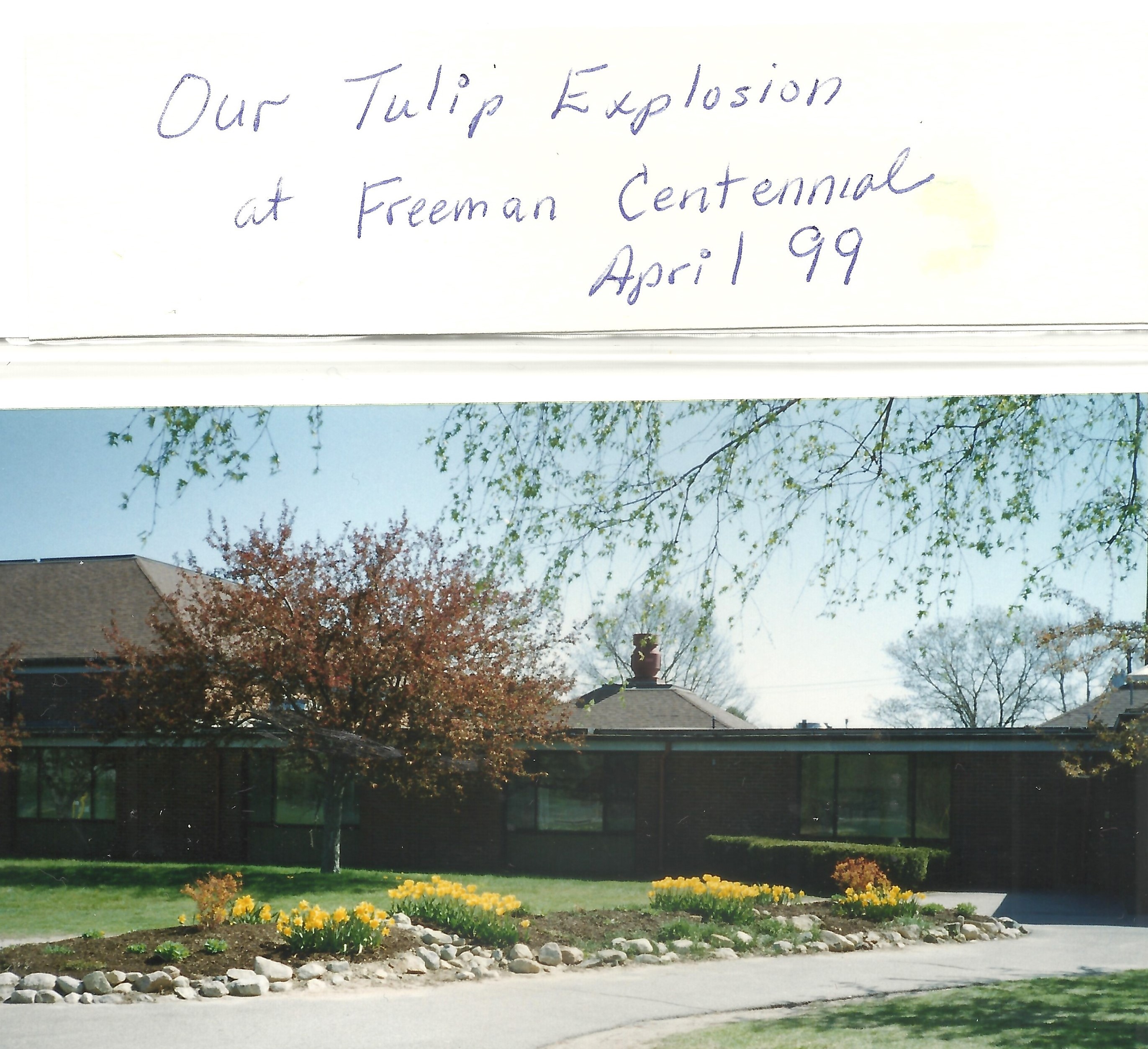 Norfolk Civic Gardens ~ 1990’s – The Garden Club of Norfolk, Inc.