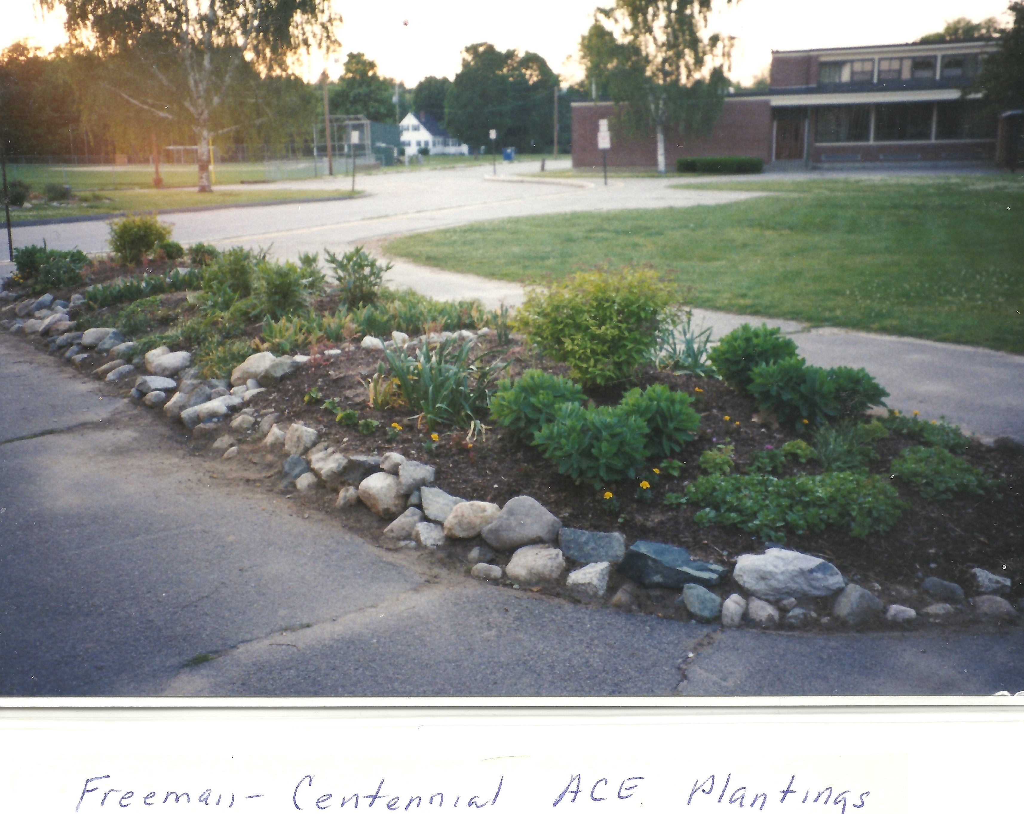Norfolk Civic Gardens ~ 1990’s – The Garden Club of Norfolk, Inc.