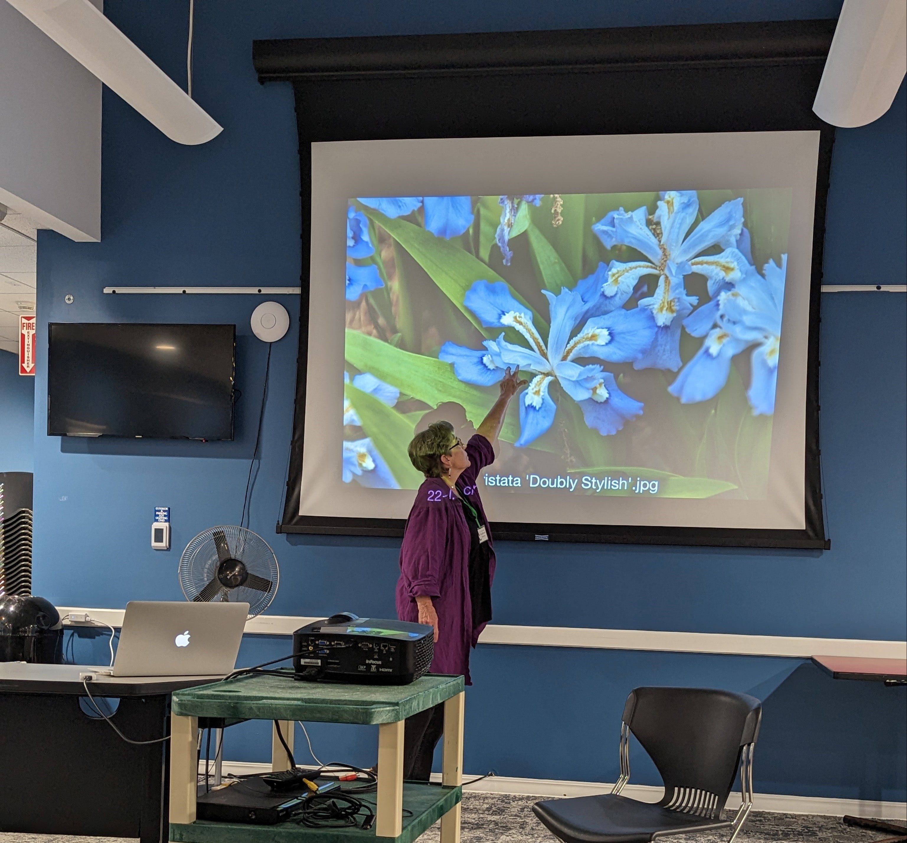 Iris, Greek Goddess of the Rainbow presented by Stephanie Markham – The ...